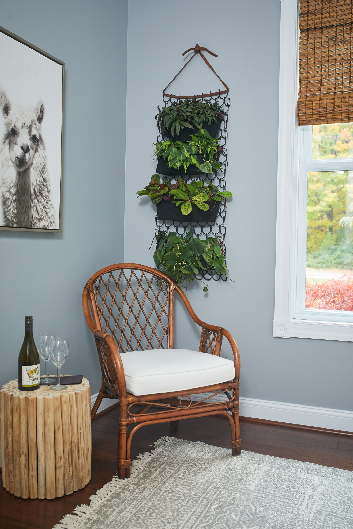 Easy DIY plant wall - A Life Unfolding