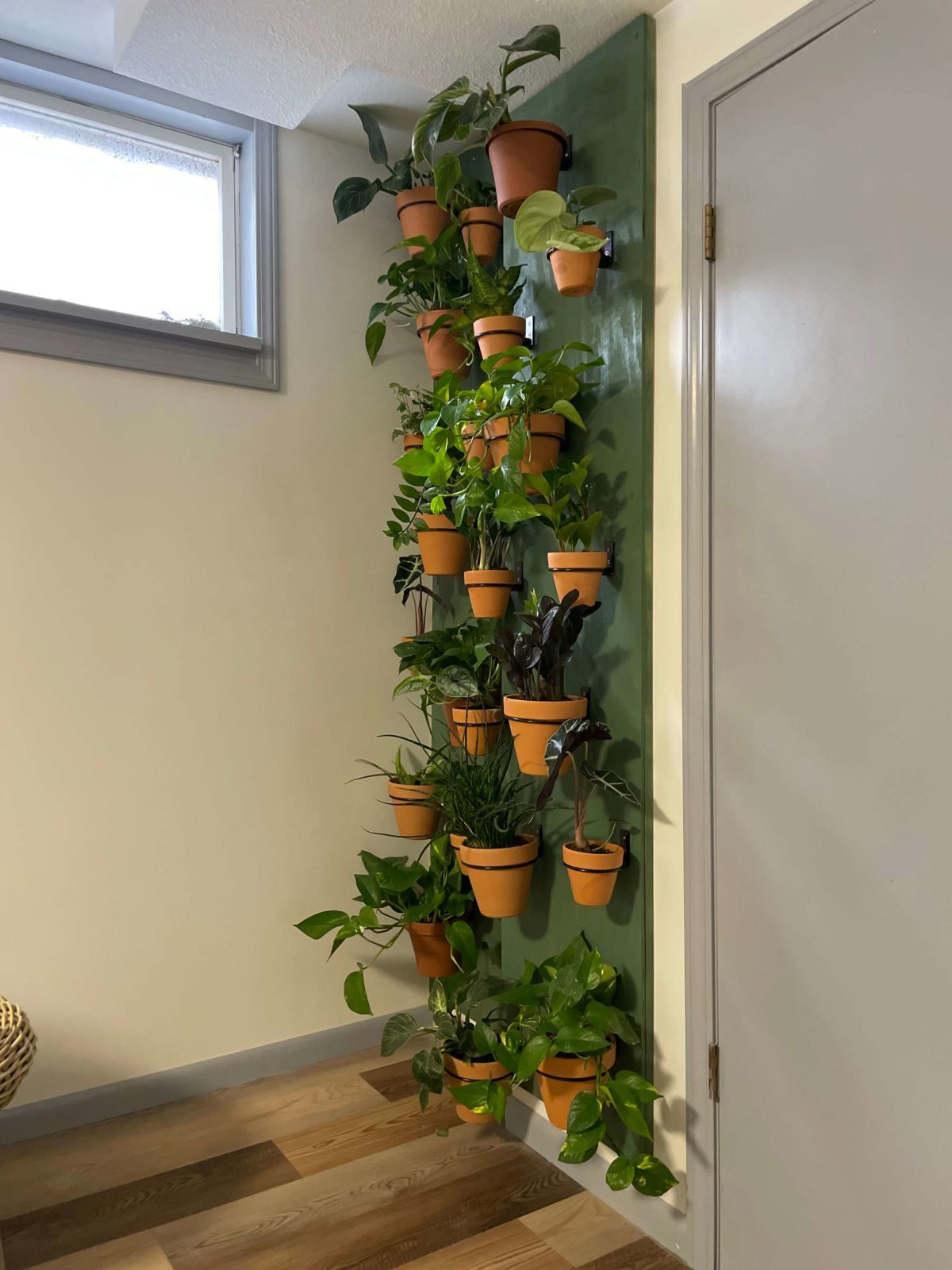 DIY Indoor Living Plant Wall - A Life Unfolding