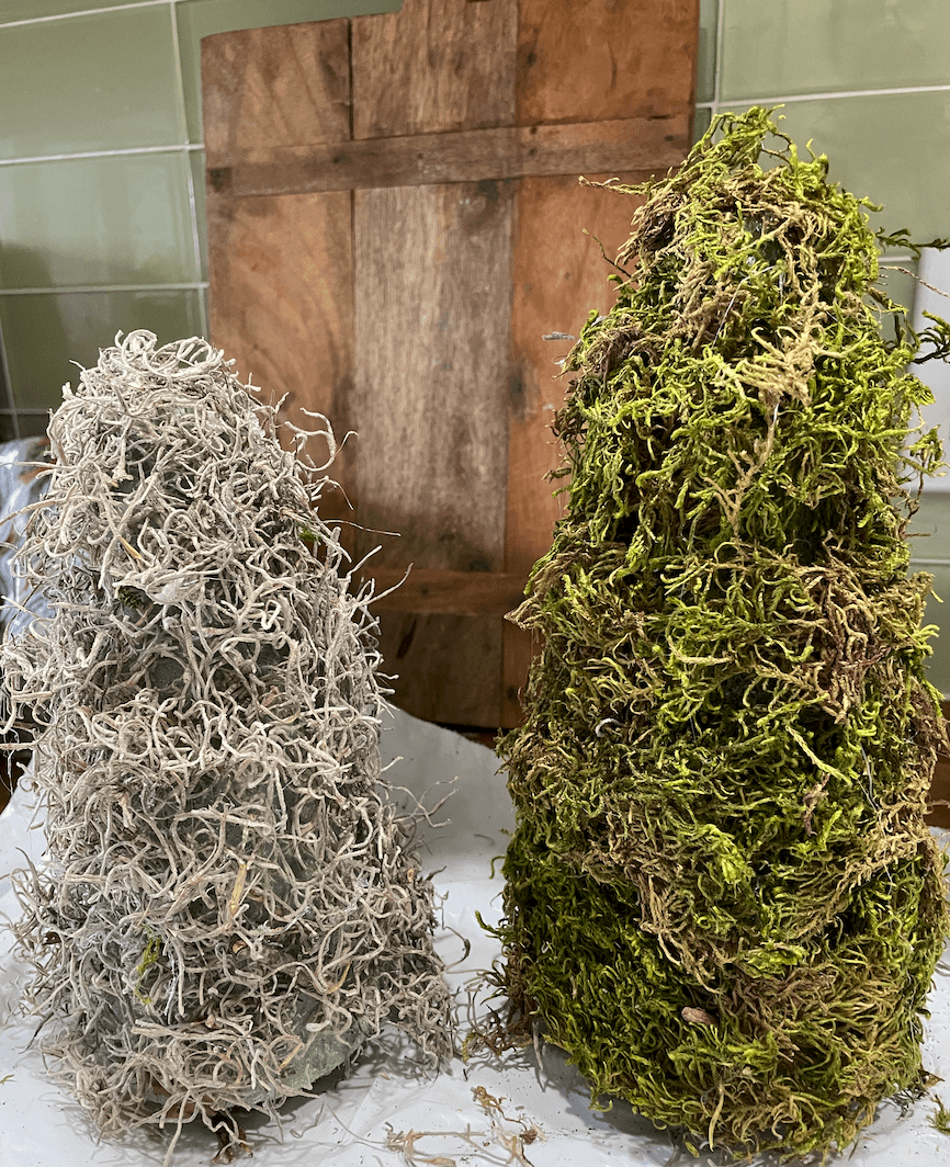 A DIY Mini Succulent Christmas Tree - A Life Unfolding