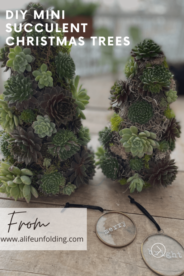 A DIY Mini Succulent Christmas Tree - A Life Unfolding