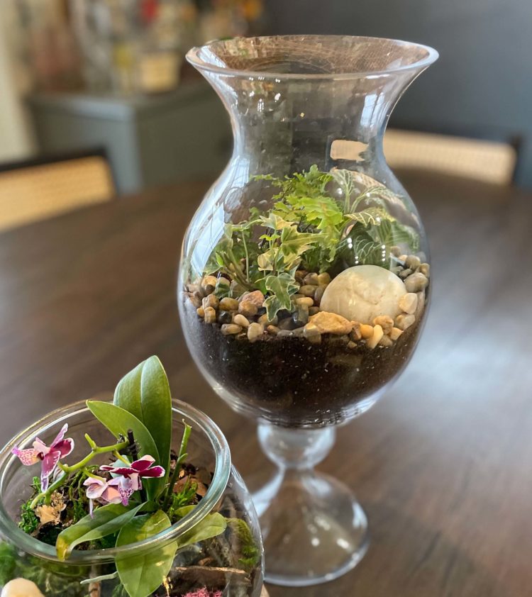 Turn A Jar Into A DIY Terrarium - A Life Unfolding