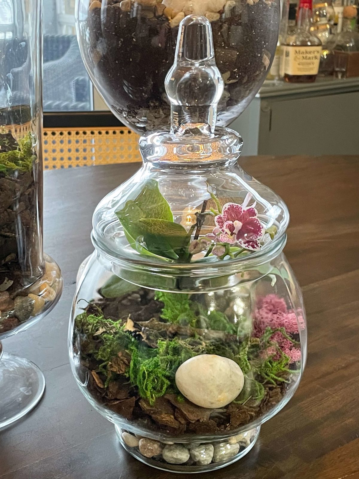 Turn A Jar Into A DIY Terrarium - A Life Unfolding