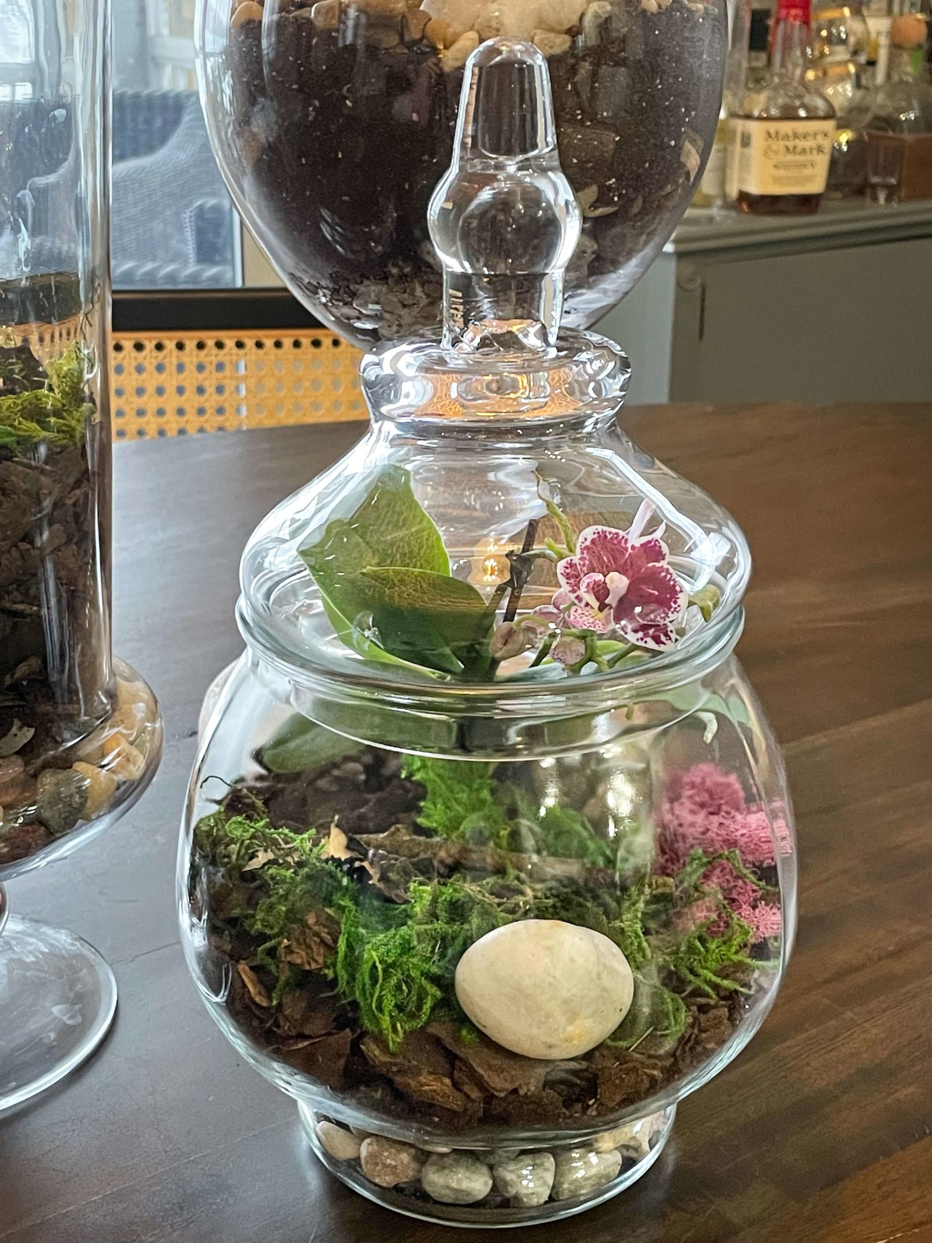 Turn A Jar Into A DIY Terrarium - A Life Unfolding