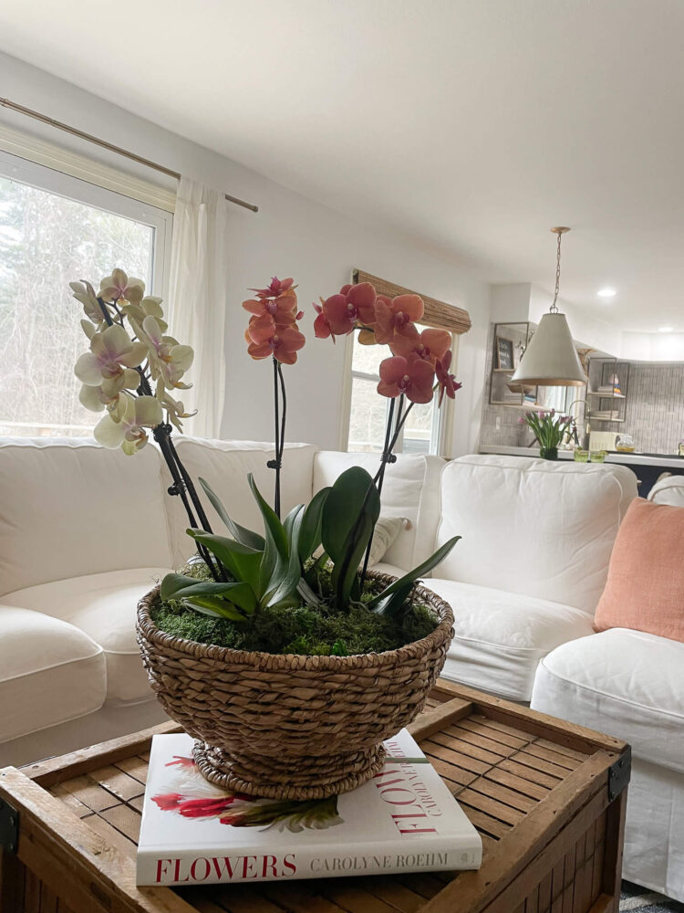 Modern Cottage Spring Home Tour - A Life Unfolding