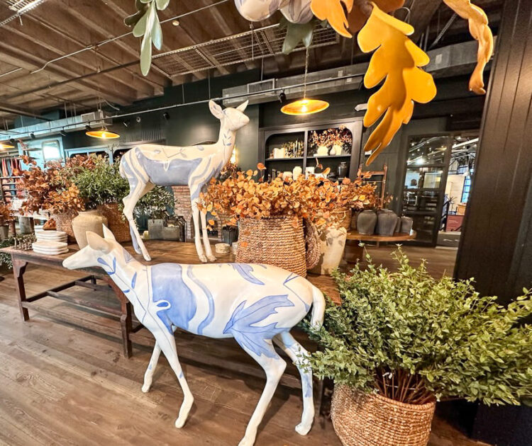 Visiting the Mothership- Magnolia and Waco - A Life Unfolding