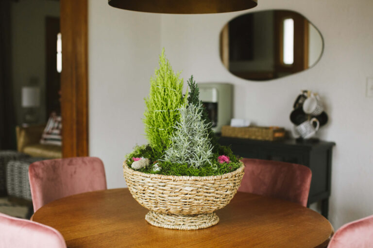 DIY a Holiday Centerpiece in 15 Minutes with Mini Topiary Trees! - A ...