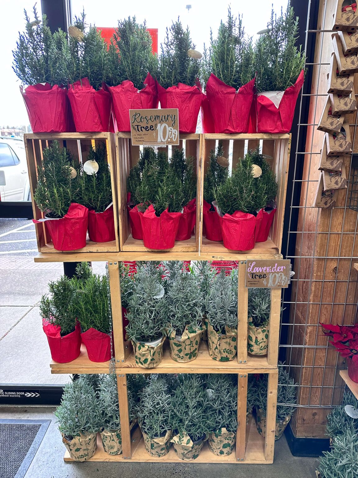 DIY a Holiday Centerpiece in 15 Minutes with Mini Topiary Trees! - A ...