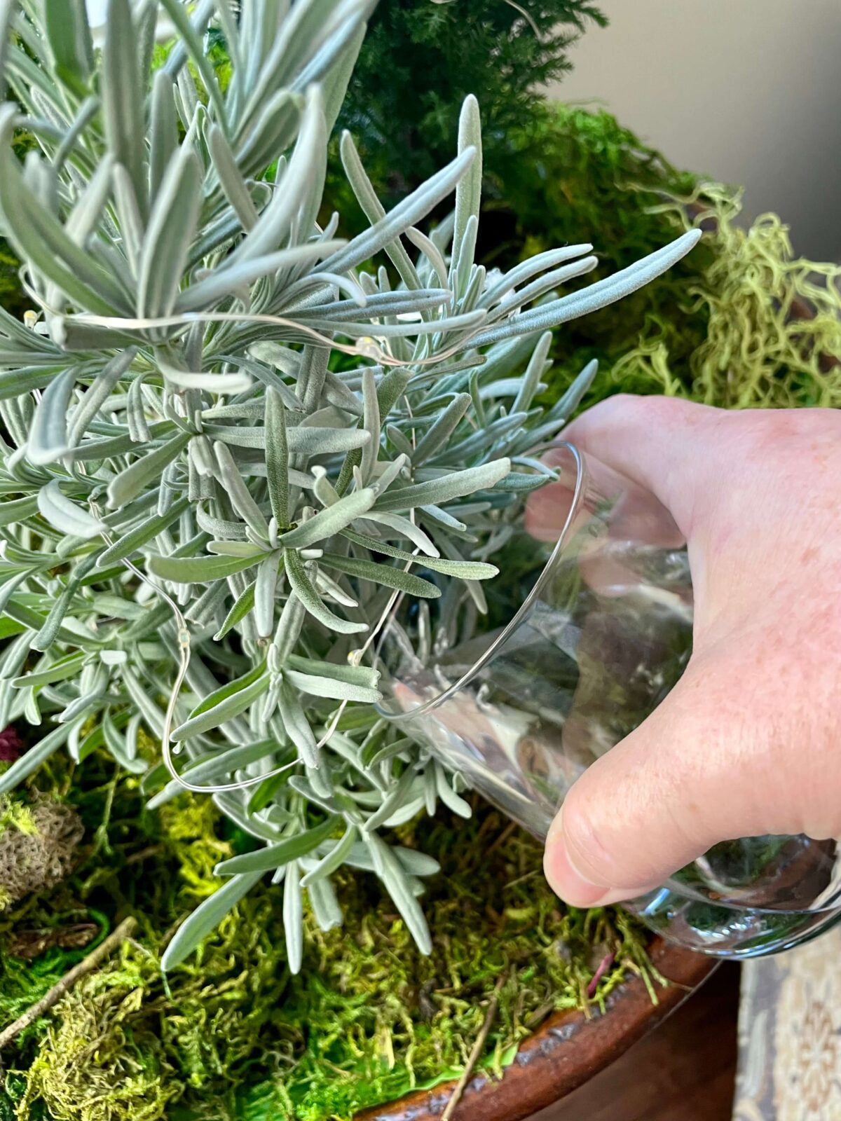 DIY a Holiday Centerpiece in 15 Minutes with Mini Topiary Trees! - A ...