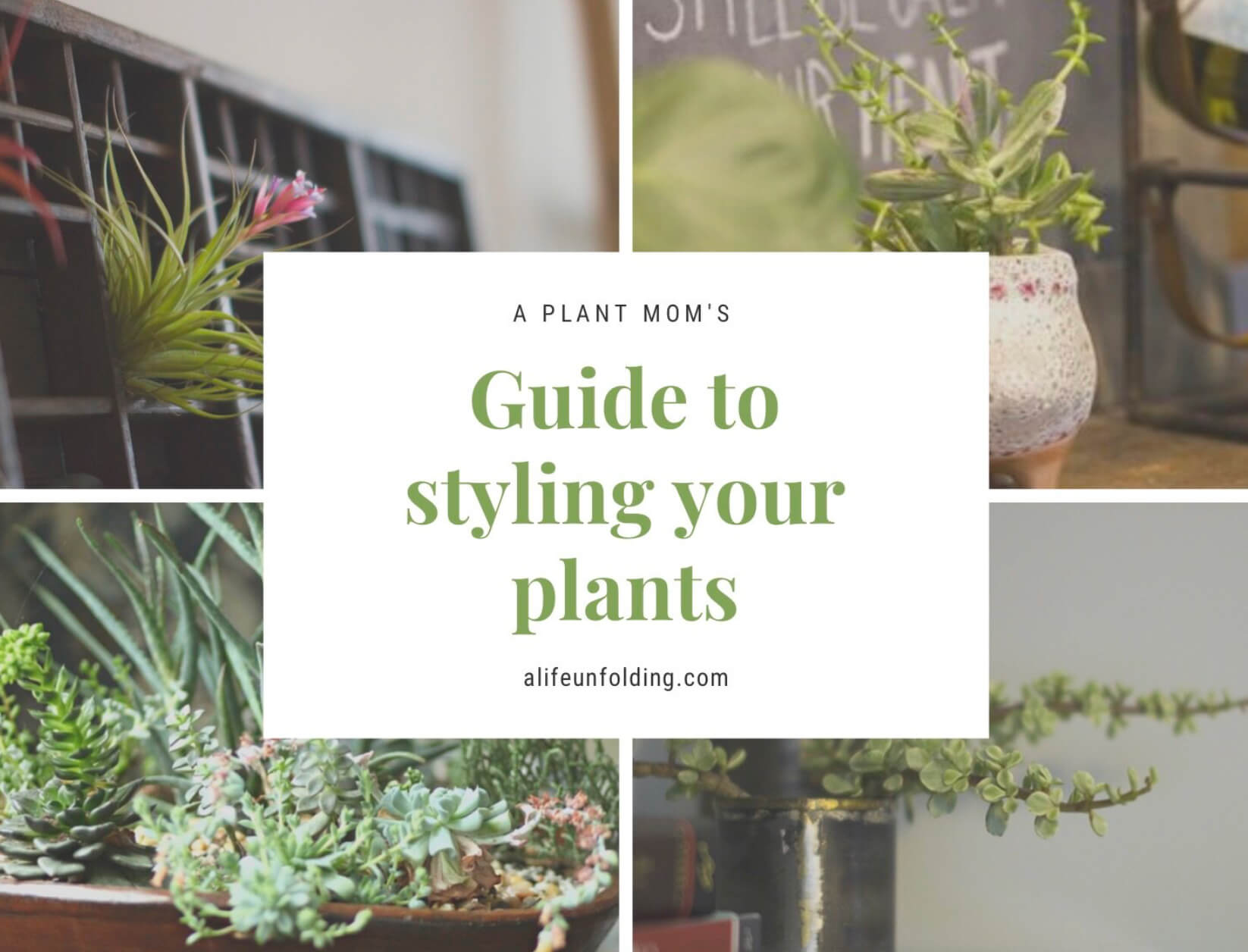 A plant mom's guide to styling your plants - A Life Unfolding