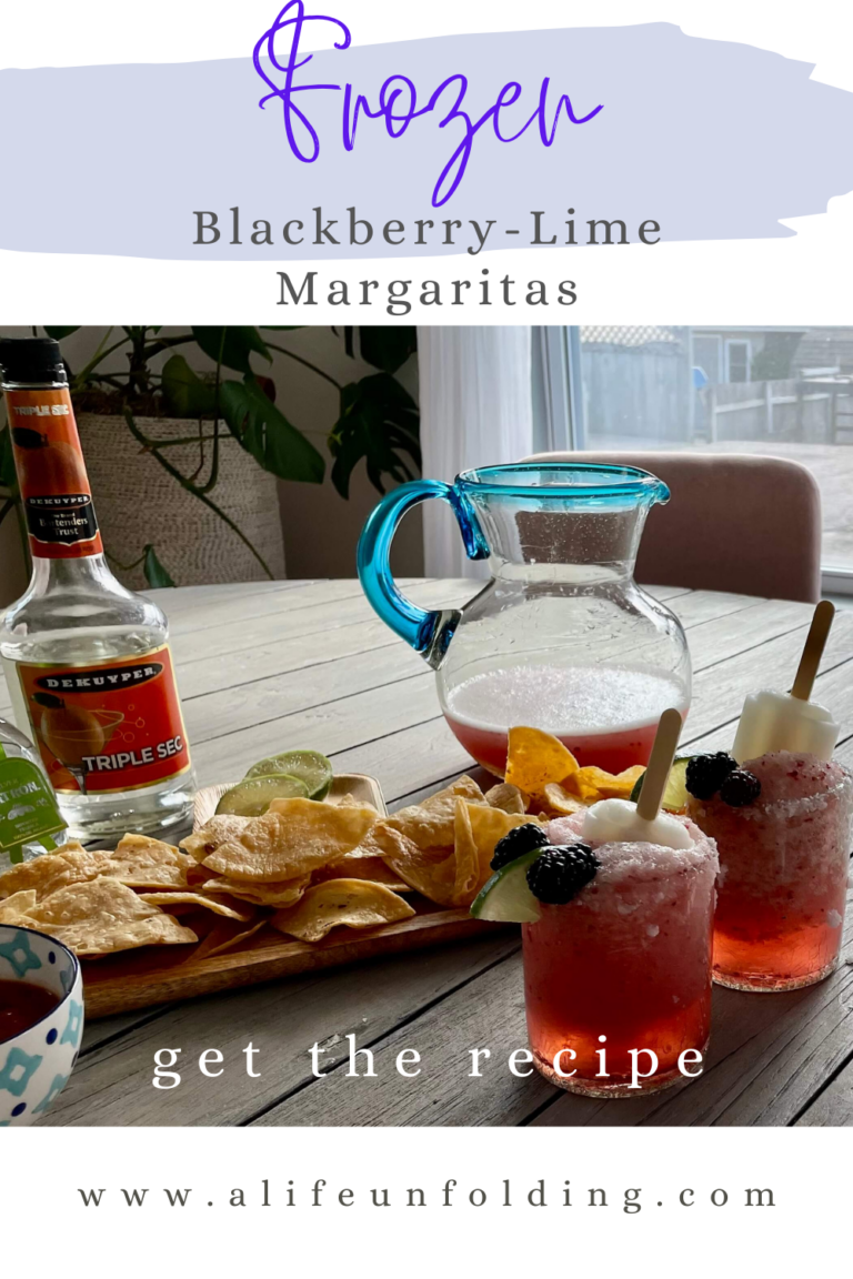 Frozen Blackberry-Lime Margarita with a popsicle garnish- Sipping ...