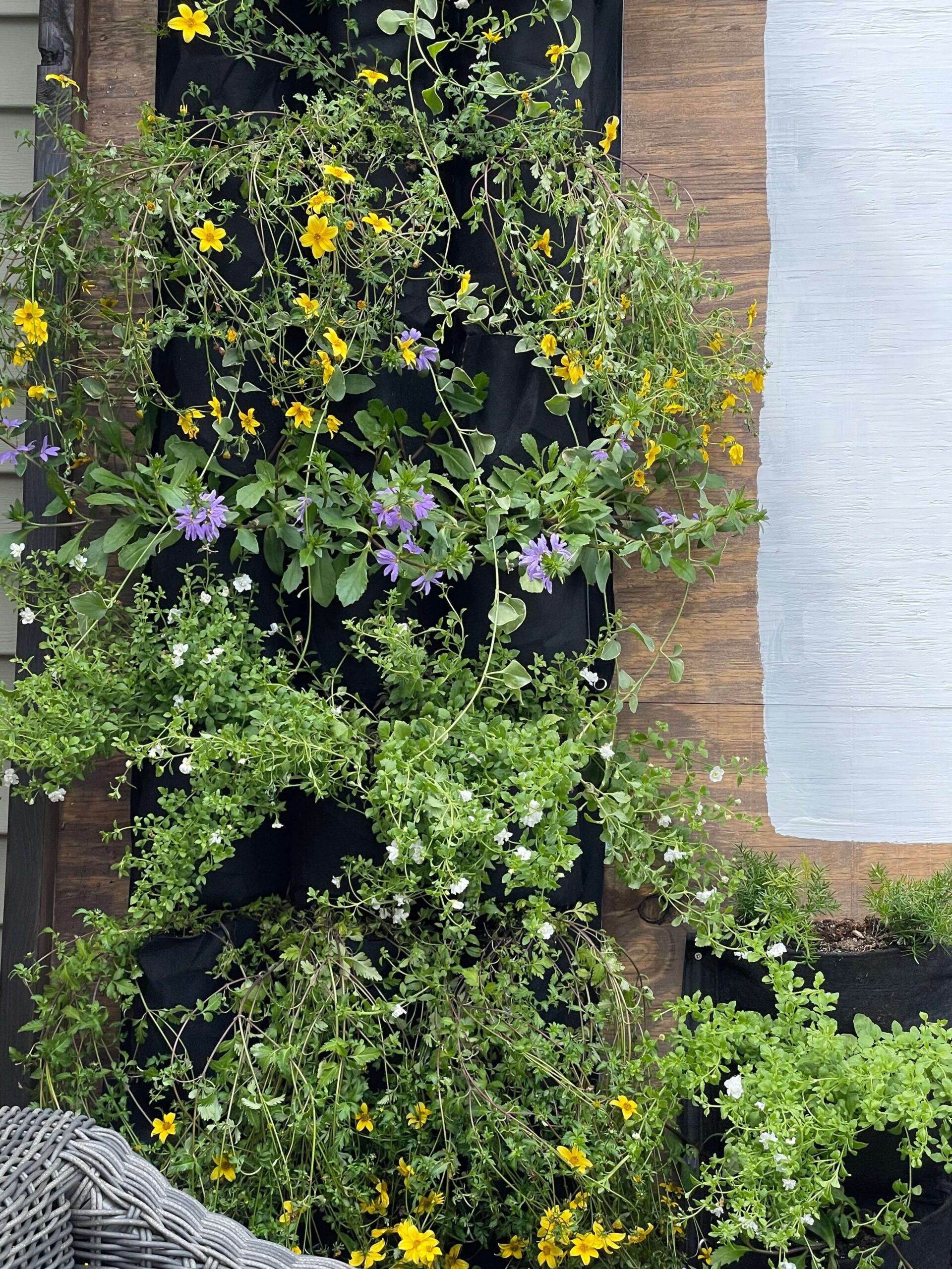 How I designed an easy DIY Outdoor Living Plant Wall - A Life Unfolding