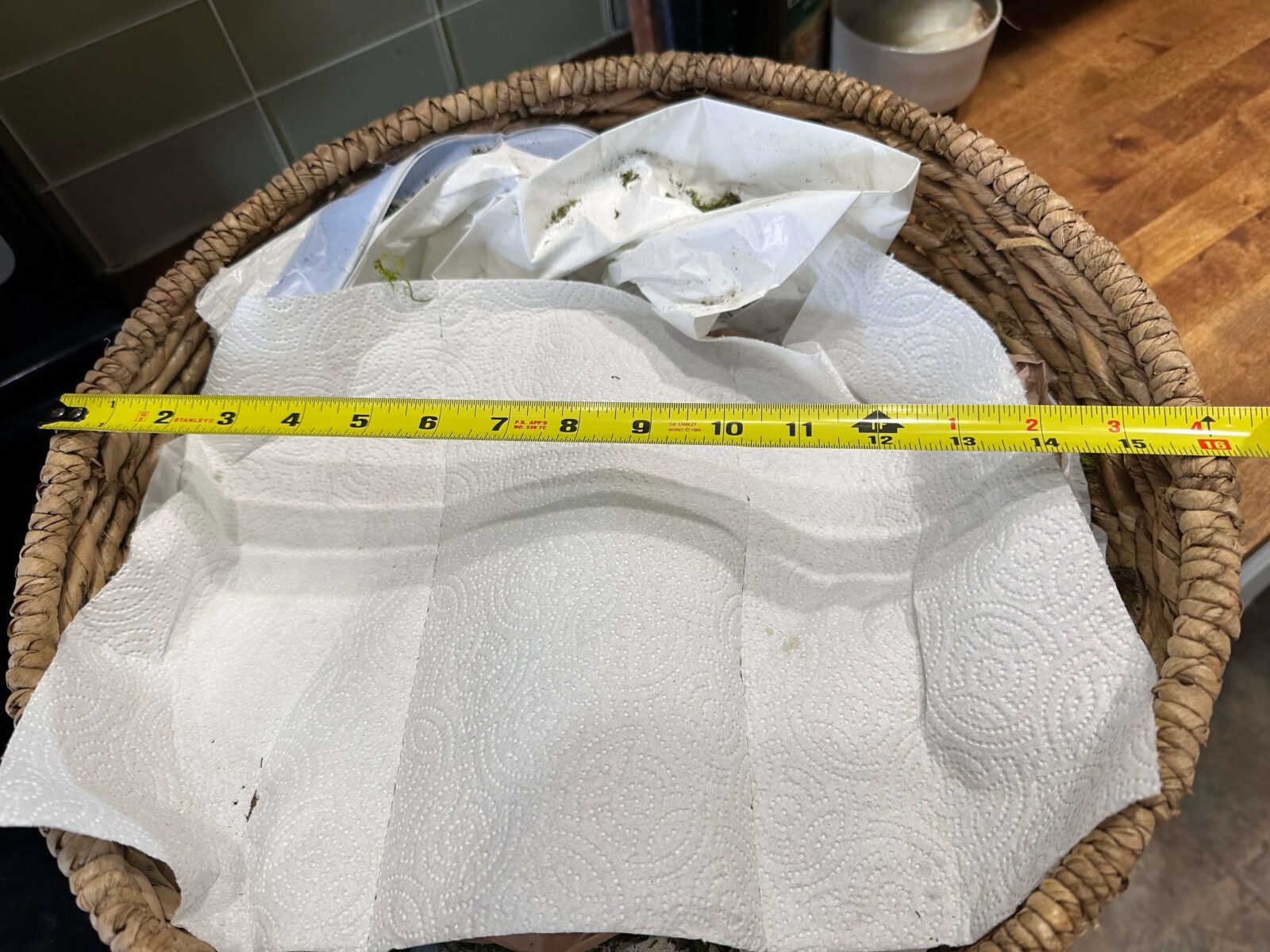 How to Create A Simple Spring Bulb Flower Arrangement - A Life Unfolding