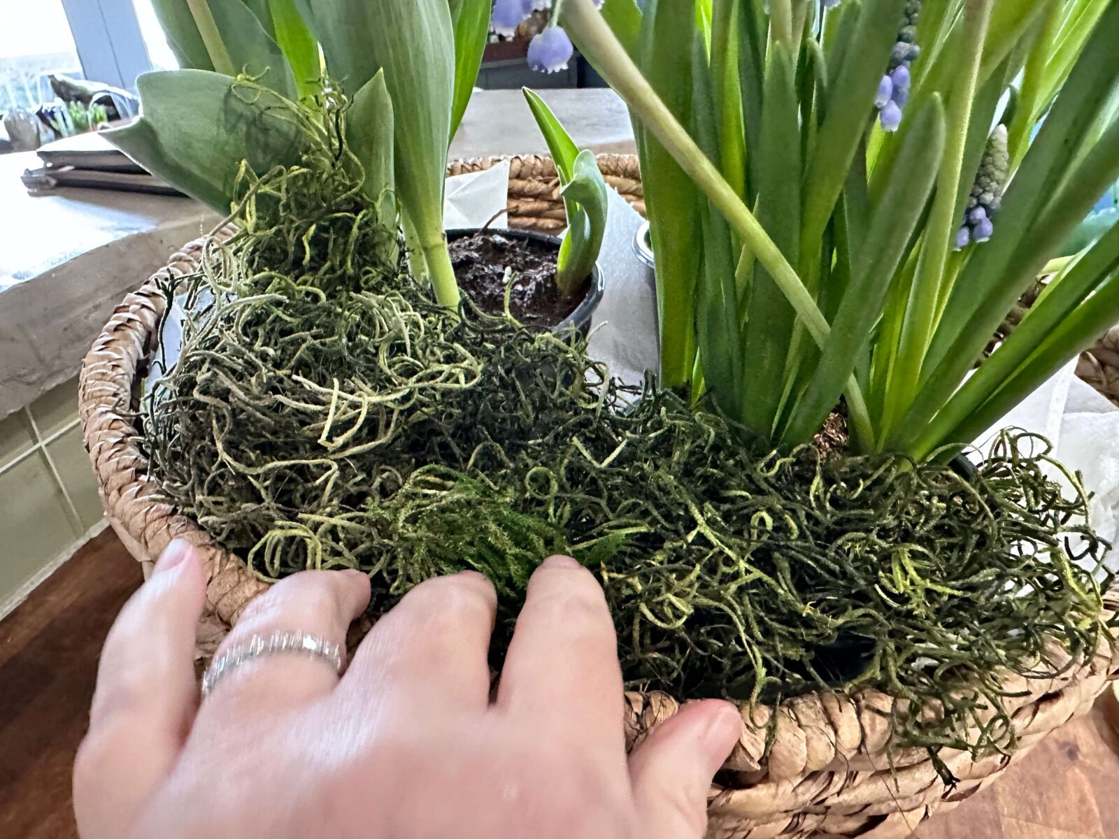 How to Create A Simple Spring Bulb Flower Arrangement - A Life Unfolding