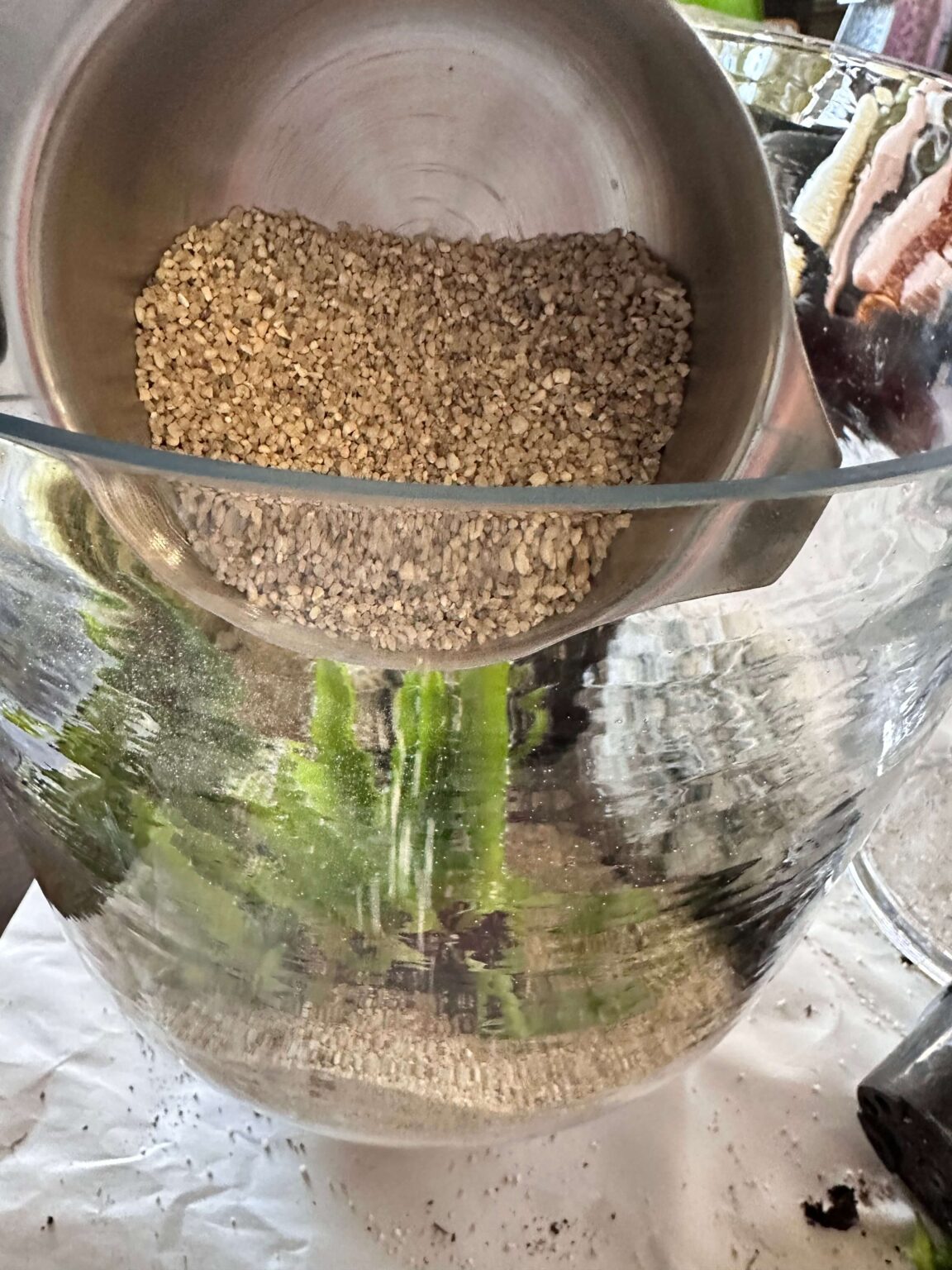 How to DIY your own Cactus Terrarium - A Life Unfolding
