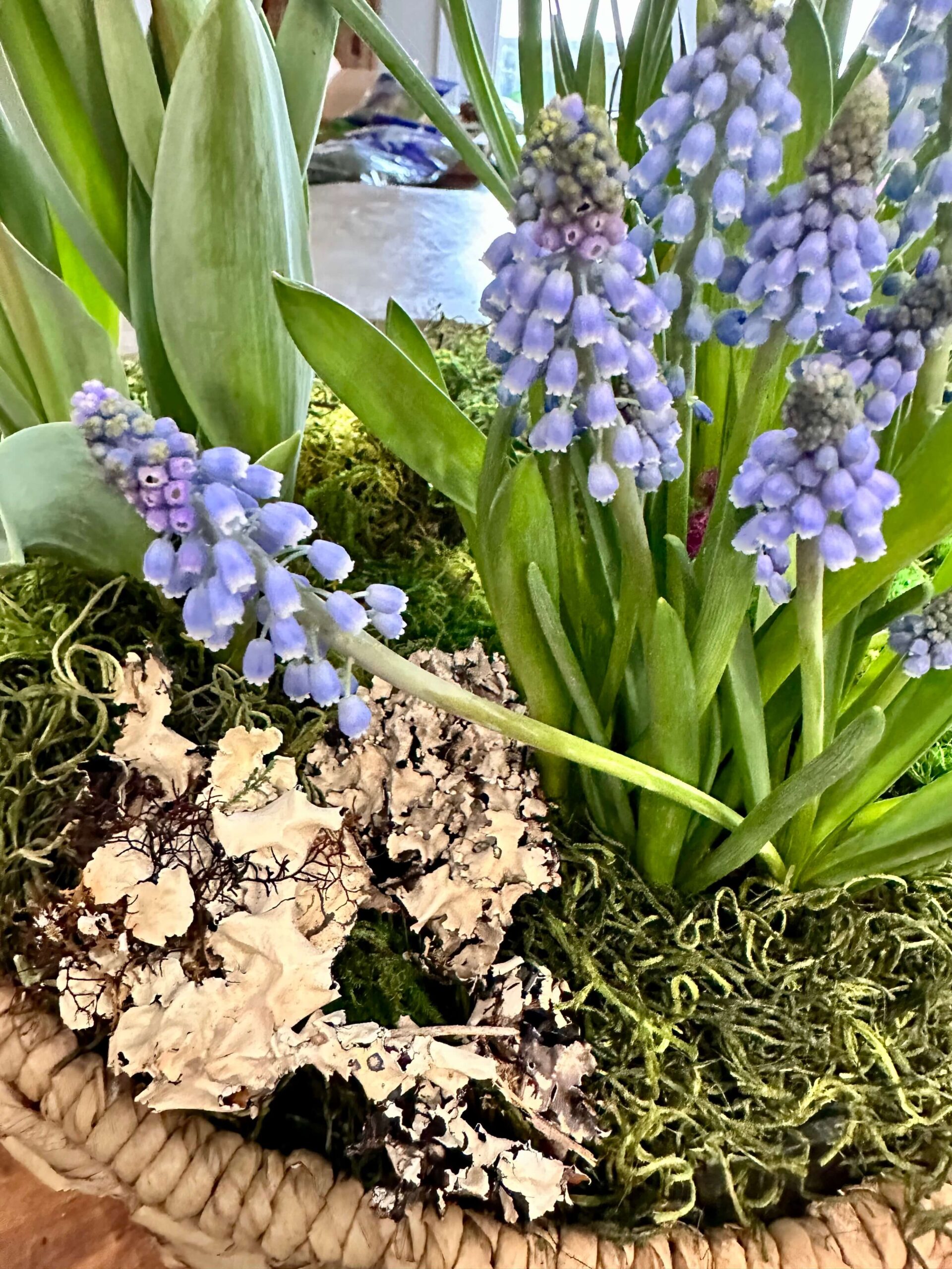 How to Create A Simple Spring Bulb Flower Arrangement - A Life Unfolding