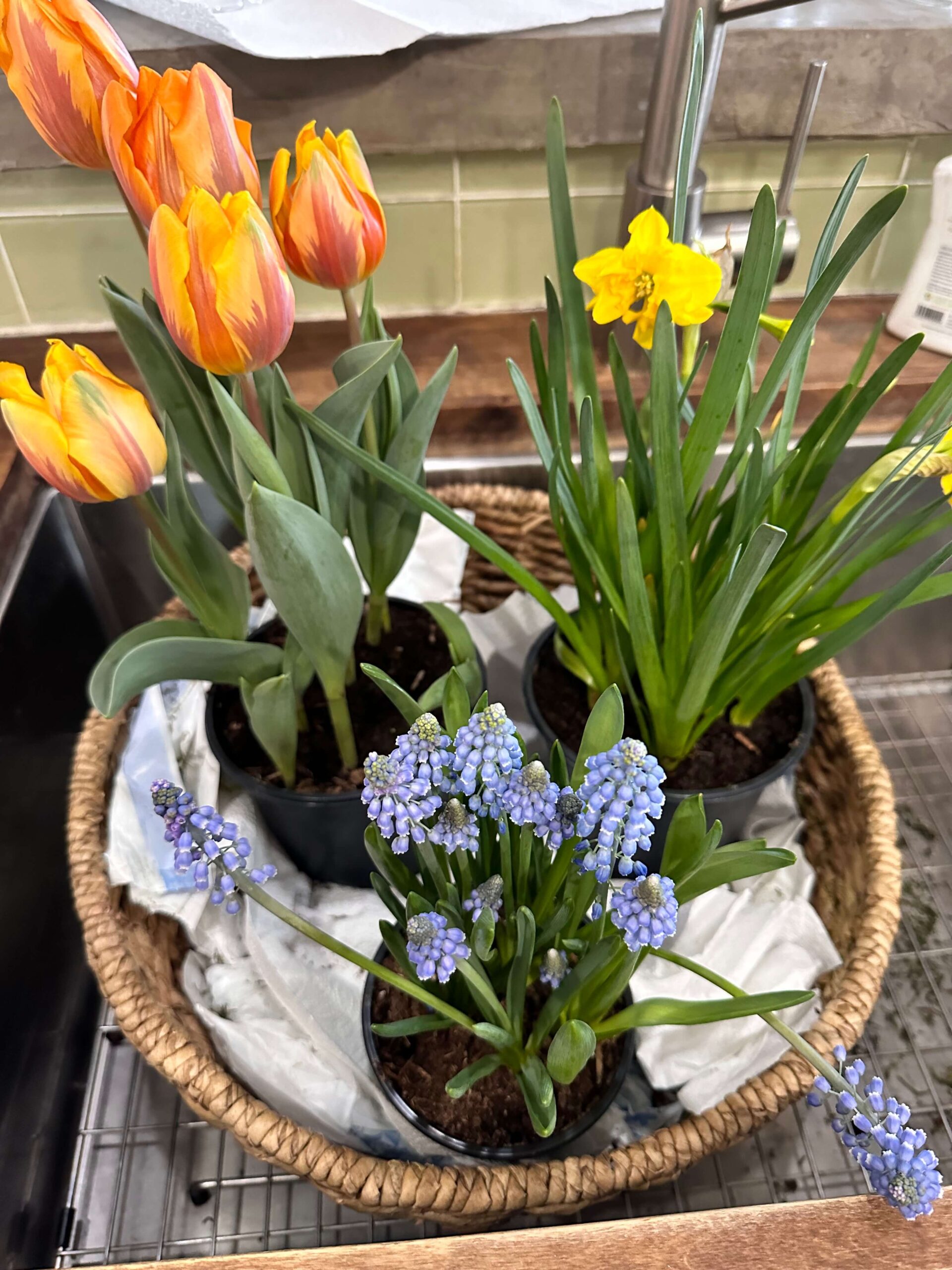 How to Create A Simple Spring Bulb Flower Arrangement - A Life Unfolding