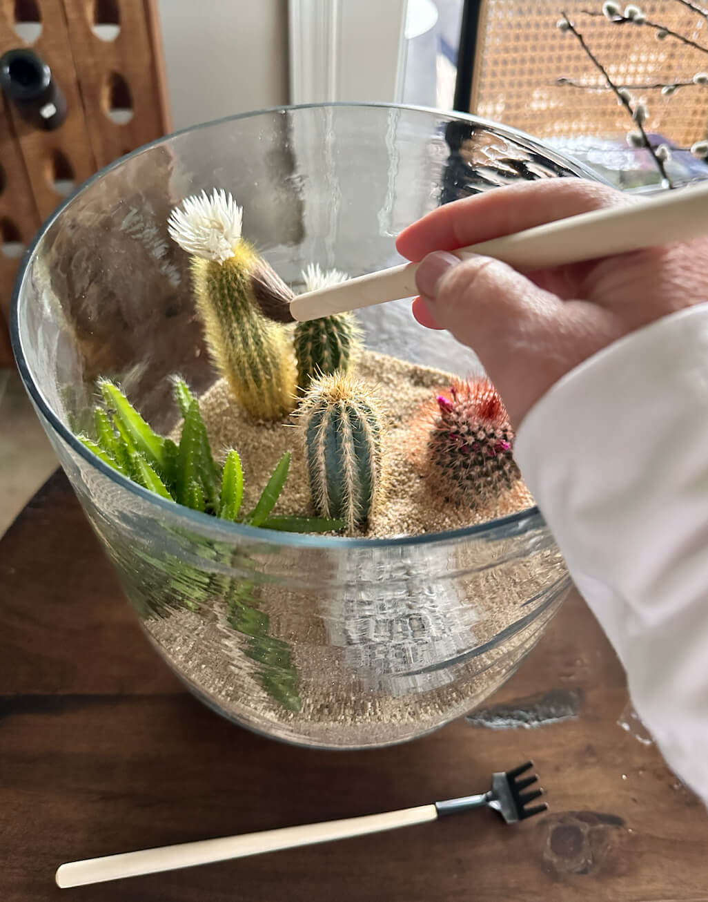 How to DIY your own Cactus Terrarium - A Life Unfolding