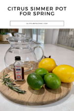 Let's Make a Citrus Simmer Pot for Spring! - A Life Unfolding