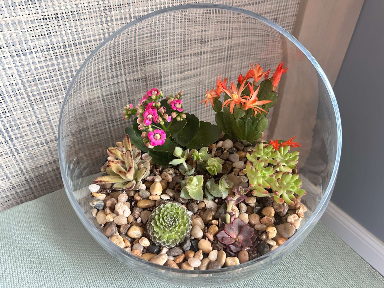 How to Make a DIY Succulent Terrarium - A Life Unfolding