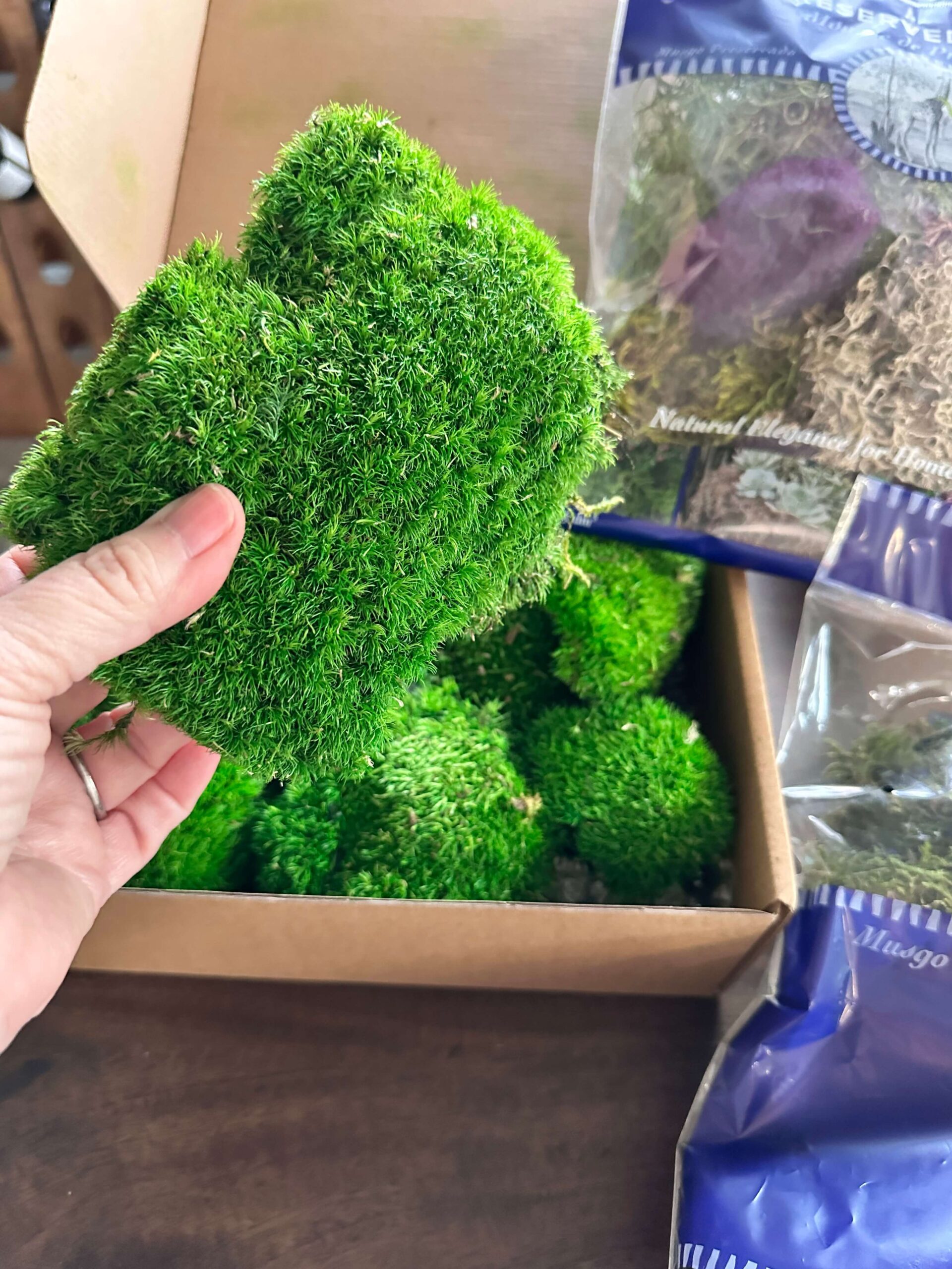 How to Create A Simple Spring Bulb Flower Arrangement - A Life Unfolding