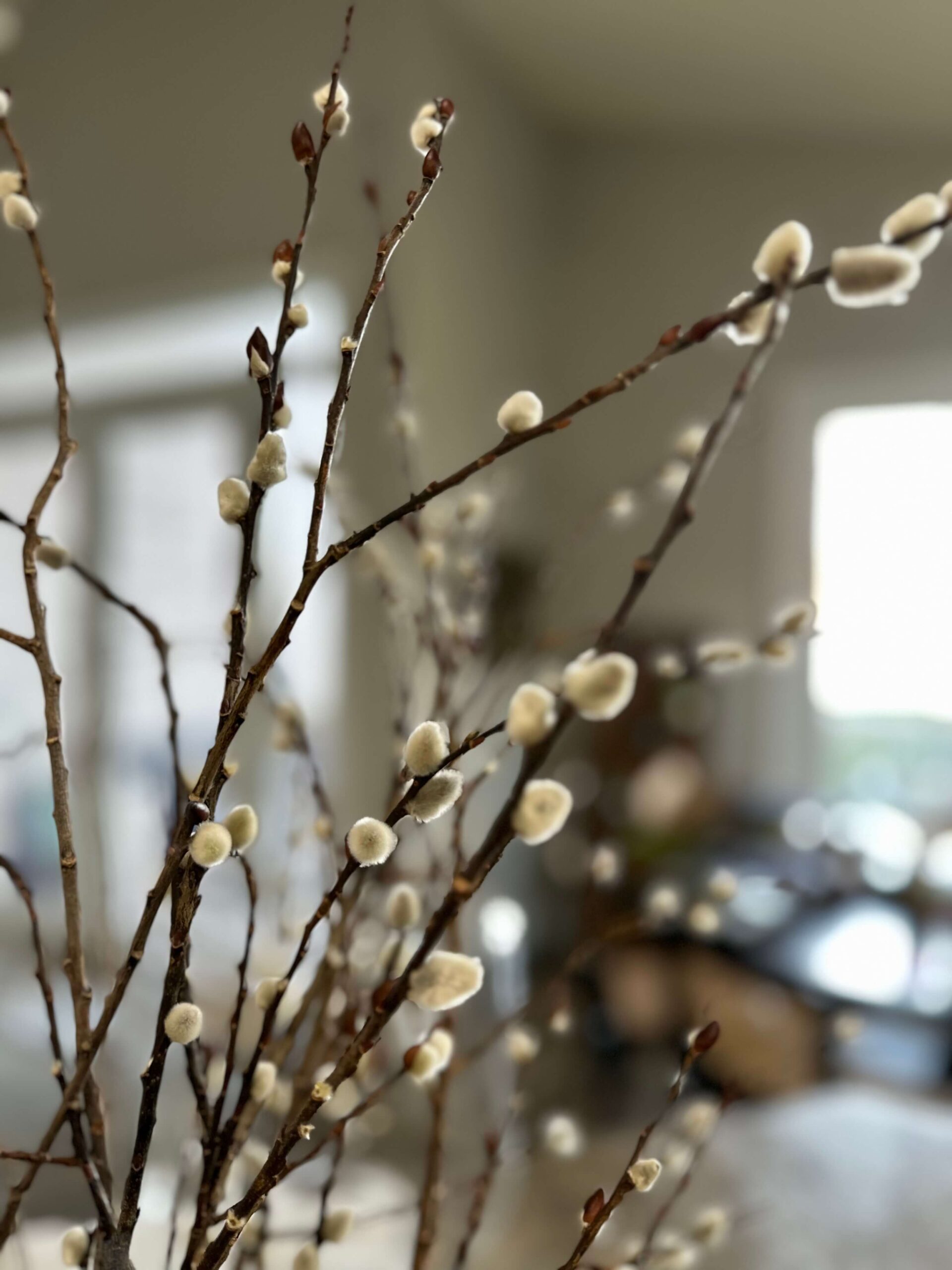 How to Create A Simple Spring Bulb Flower Arrangement - A Life Unfolding