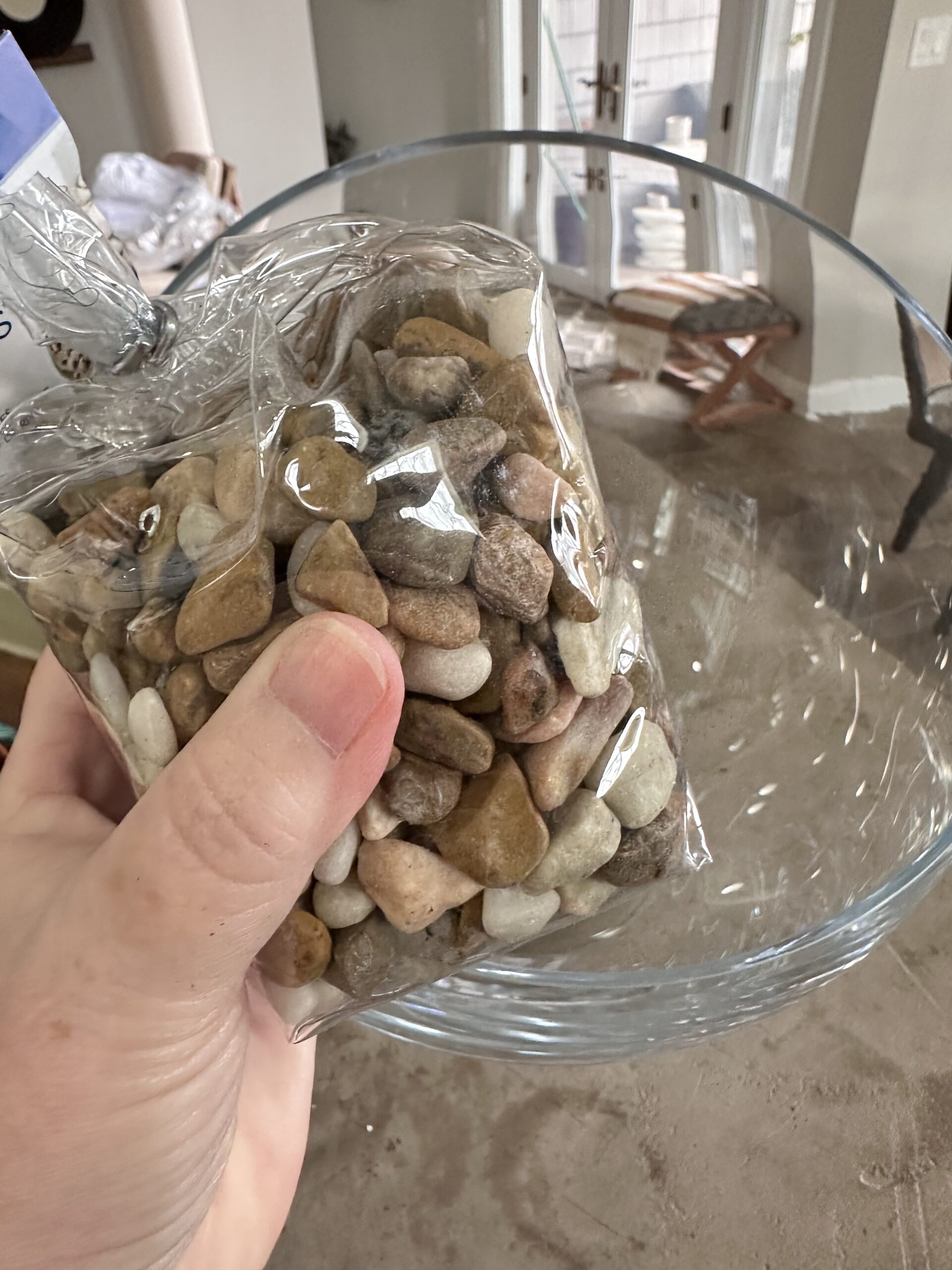 How to Make a DIY Succulent Terrarium - A Life Unfolding