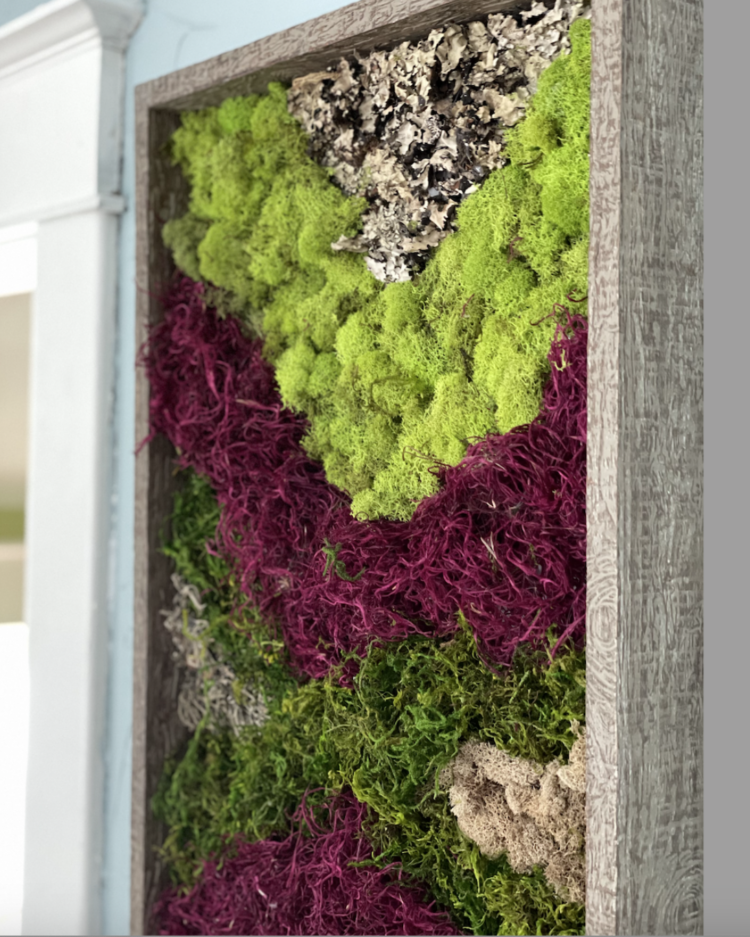 Green it Up! Easy Ways to Add Moss to Home Decor. - A Life Unfolding