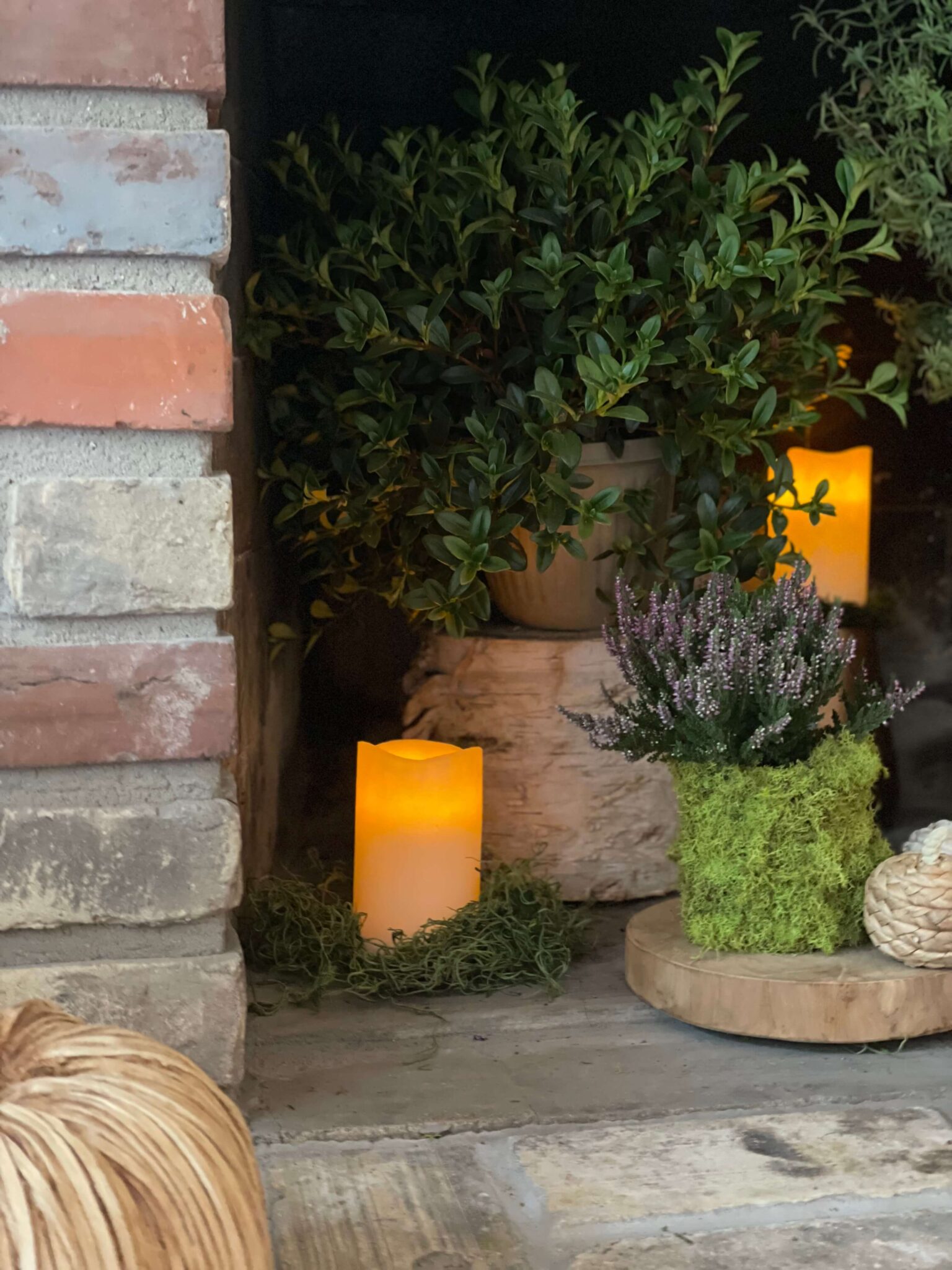 Green it Up! Easy Ways to Add Moss to Home Decor. - A Life Unfolding