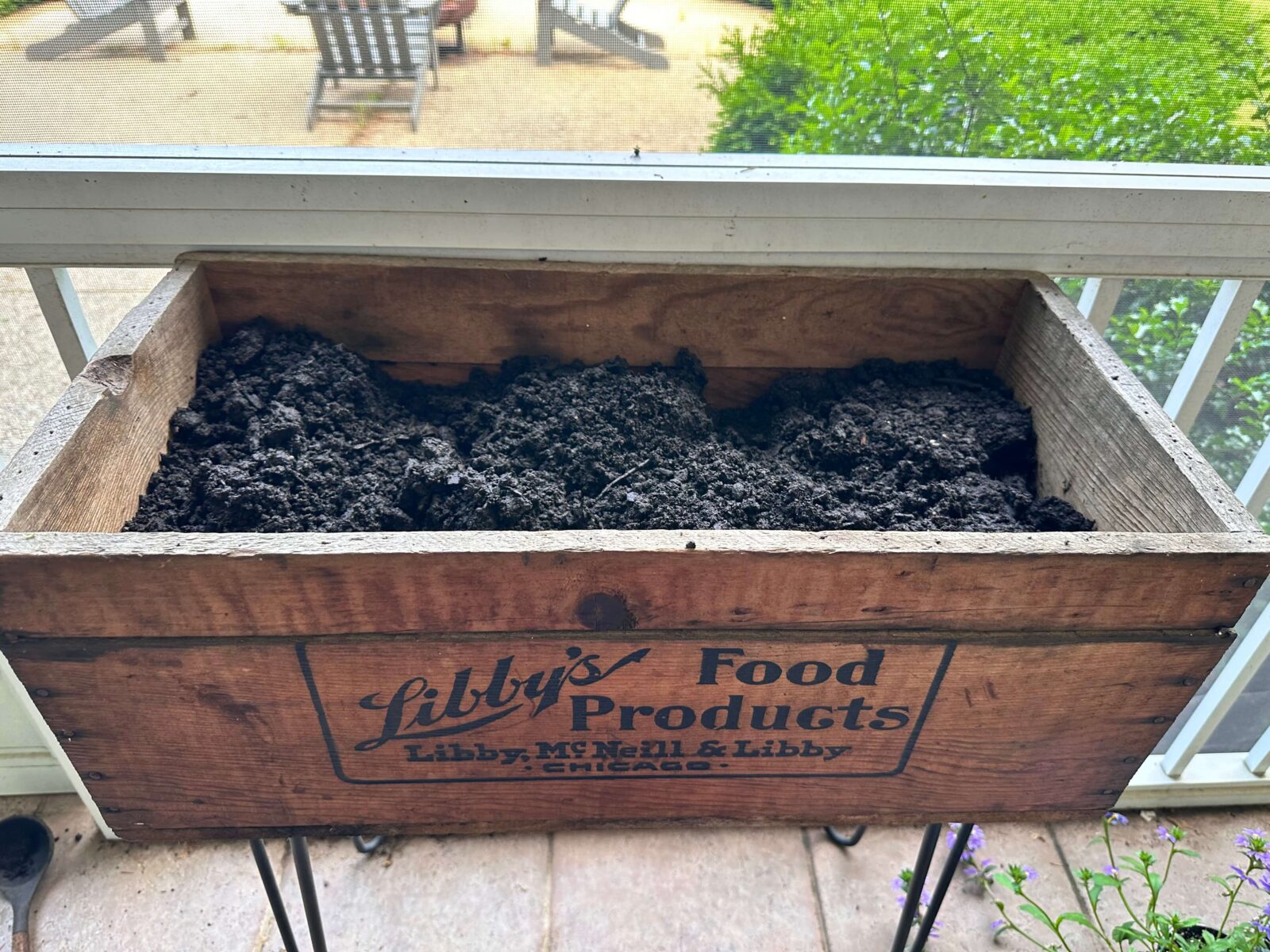 Create a cocktail garden for the freshest drinks! - A Life Unfolding