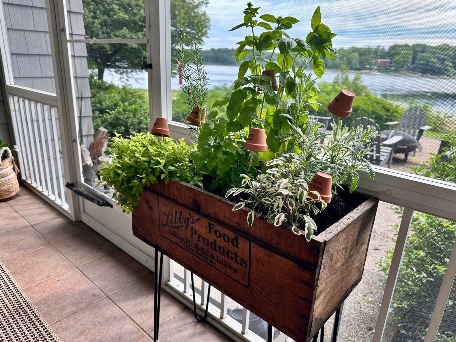 Create a cocktail garden for the freshest drinks! - A Life Unfolding