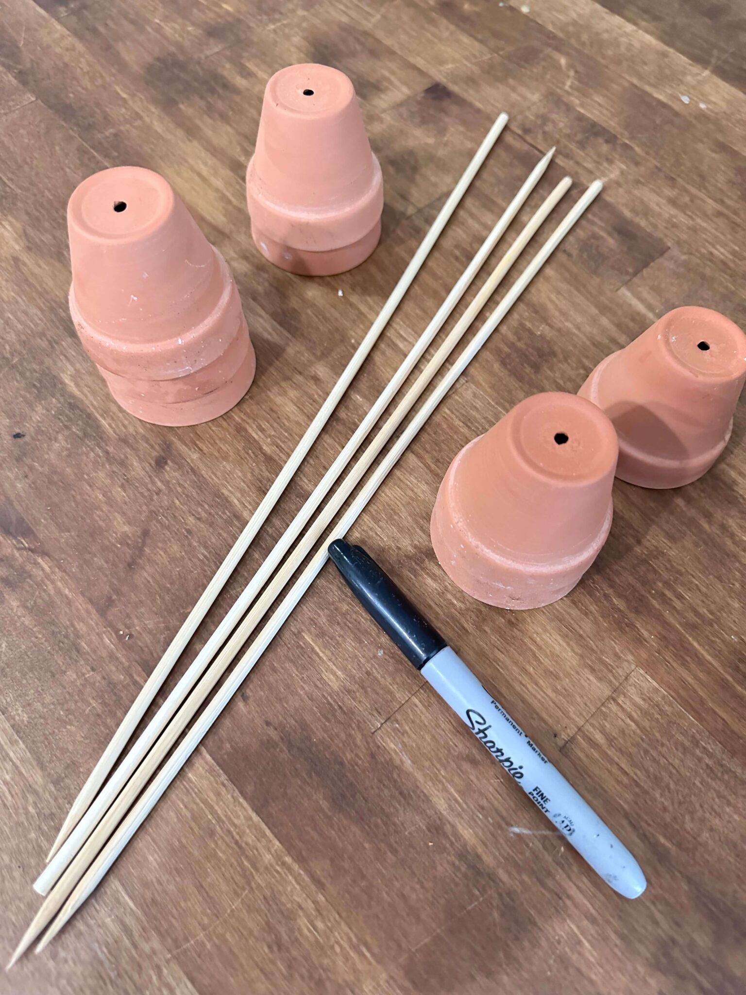 Create a cocktail garden for the freshest drinks! - A Life Unfolding