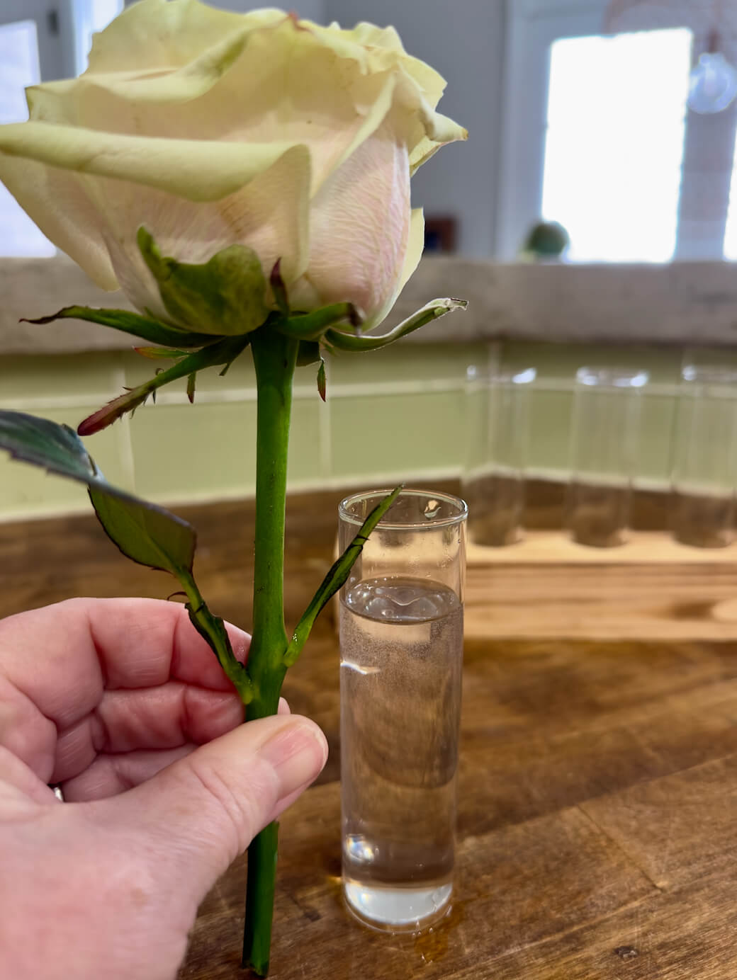 How To DIY A Flower Arrangement in Test Tube Vases - A Life Unfolding