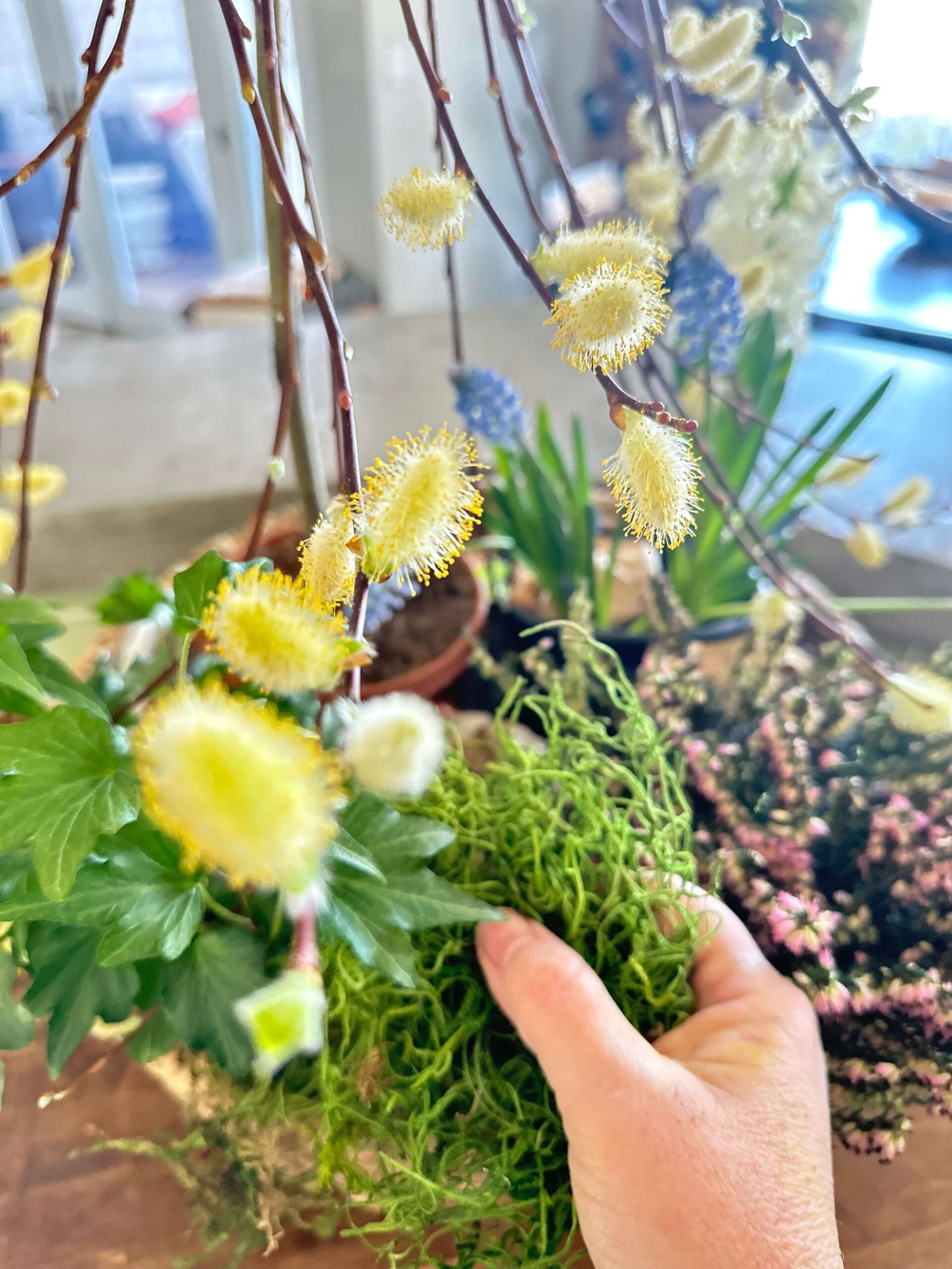 How to Create a Blooming Spring Basket - A Life Unfolding
